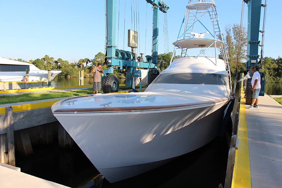 New ACY 67 - InTheBite