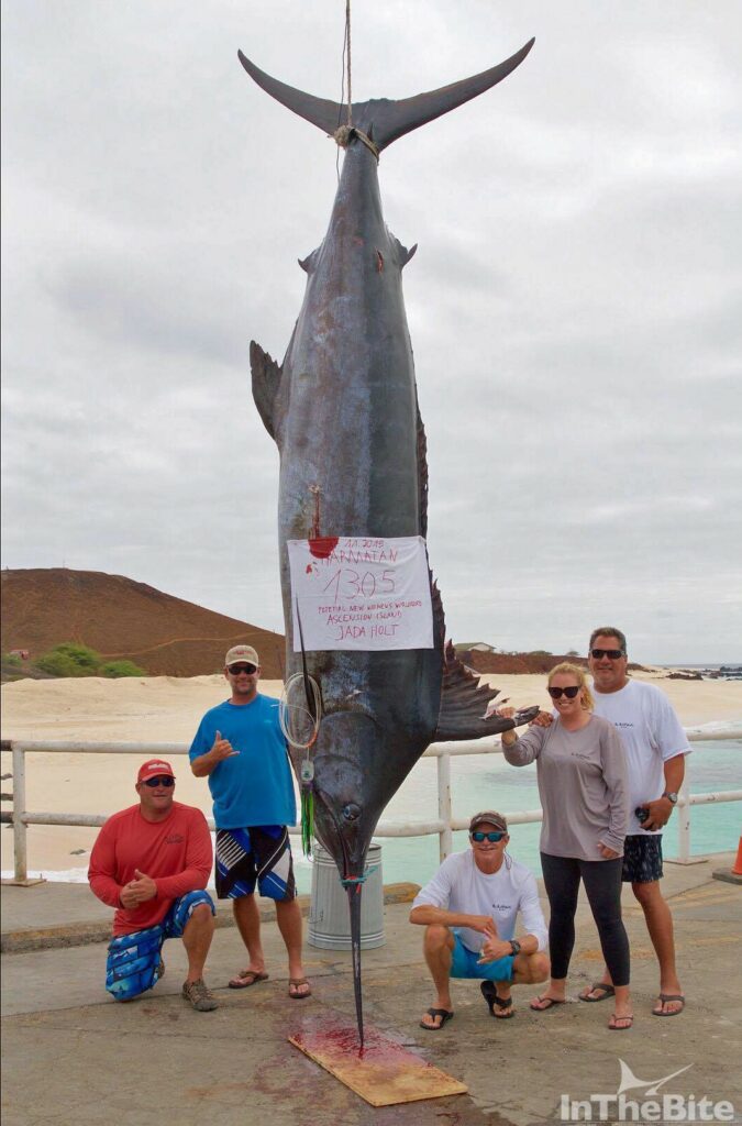 1305 Pound Marlin Captured - InTheBite
