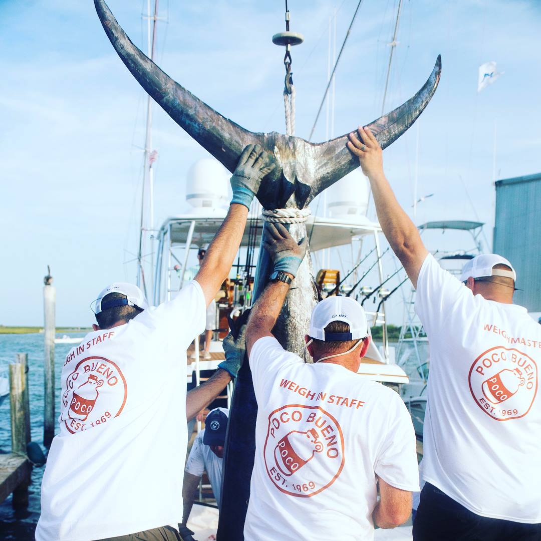 Final Results: 2018 Poco Bueno Fishing Tournament - InTheBite