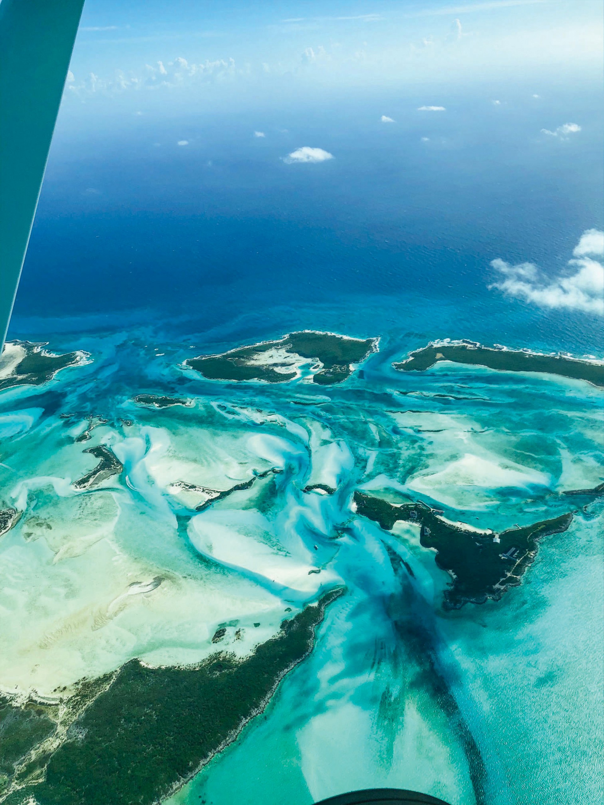 The Sportfishing Seasons of the Bahamas - Your Ultimate Guide