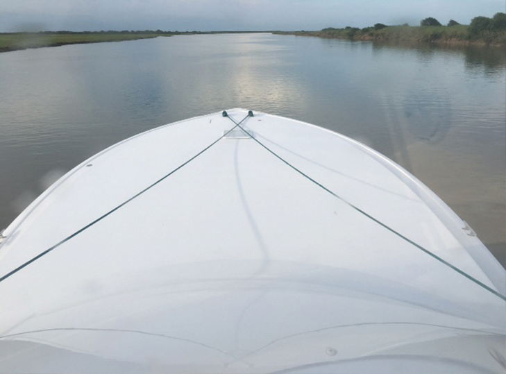 Tackle Tips: Swordfish Squid, Bow Lines and Live Bait - InTheBite