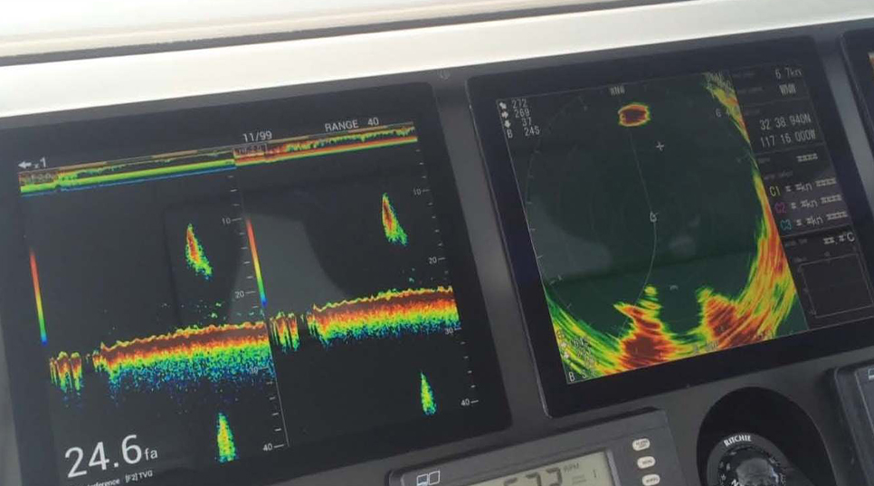 Offshore Fishing School: Sonar Pro Tips for Getting Dialed In - InTheBite