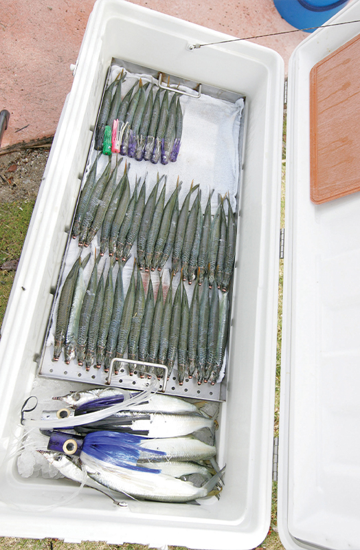 Master Baiters: Bait Snobs Know the Difference - InTheBite