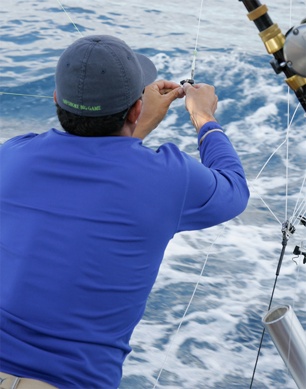 When the Going Gets Rough: Tactics for Sporty Seas - InTheBite