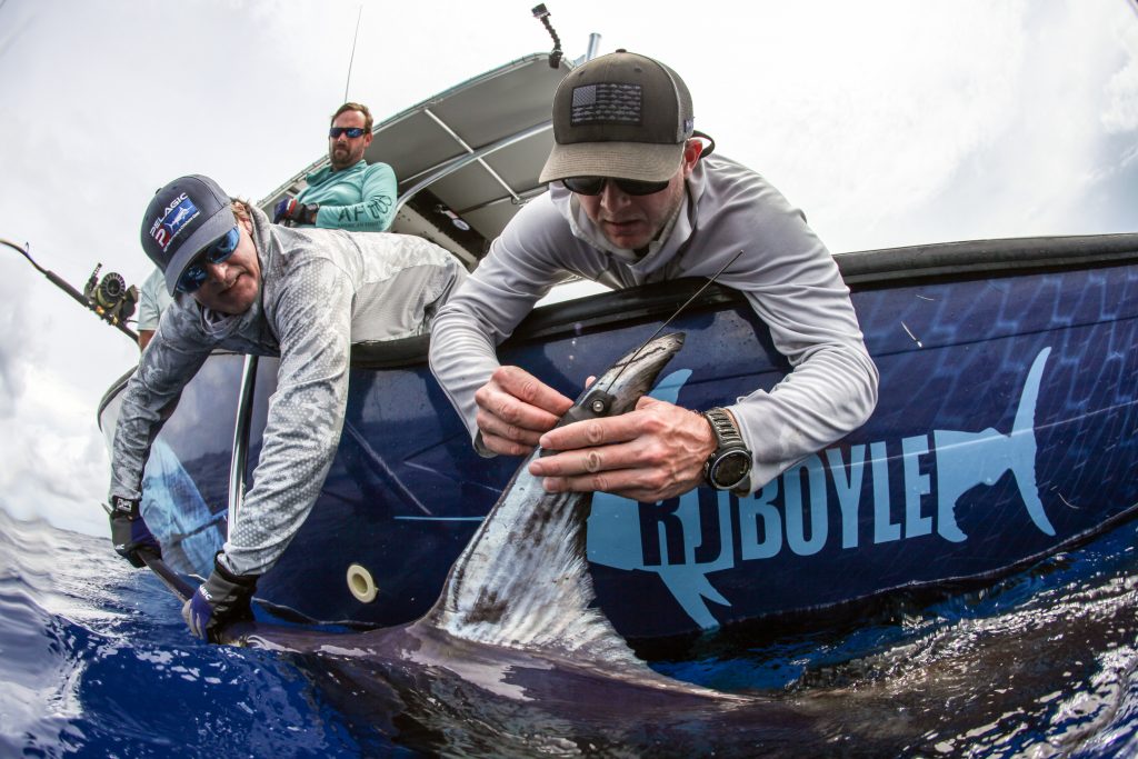 Satellite Tagging Reveals the Secrets of Swordfish - InTheBite